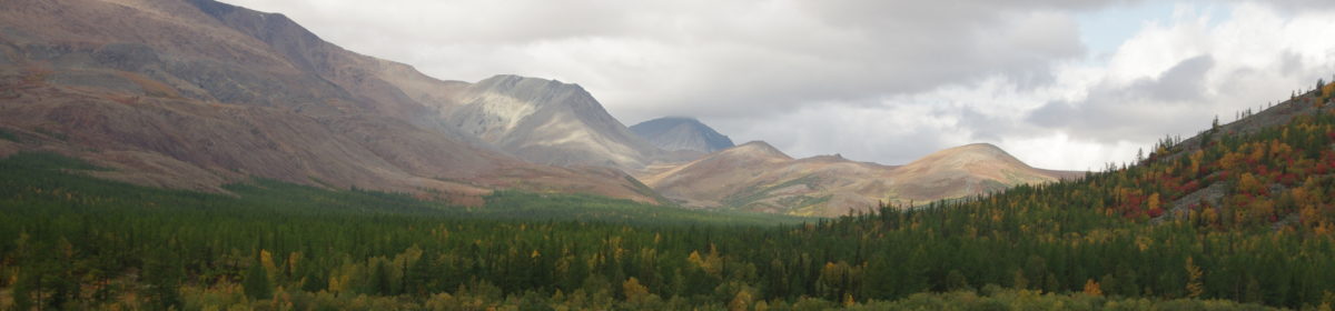 What is the Uralic language family? – BEDLAN